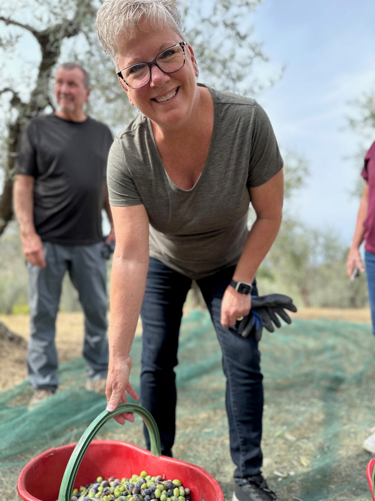 Annual Olive Harvest | Our Tuscan Farm